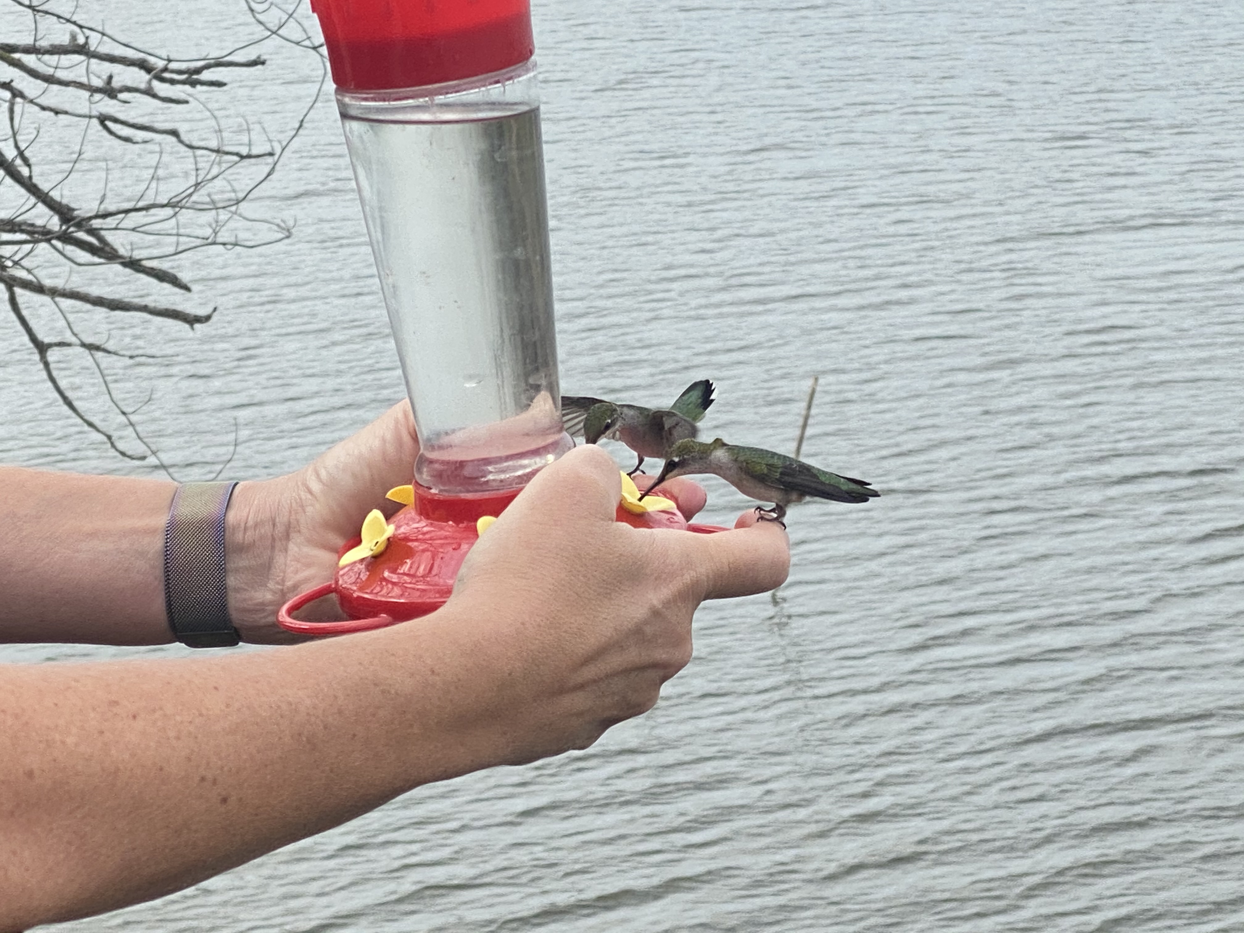 Who’s Your Auntie? Ship 30 Onboarding Complete