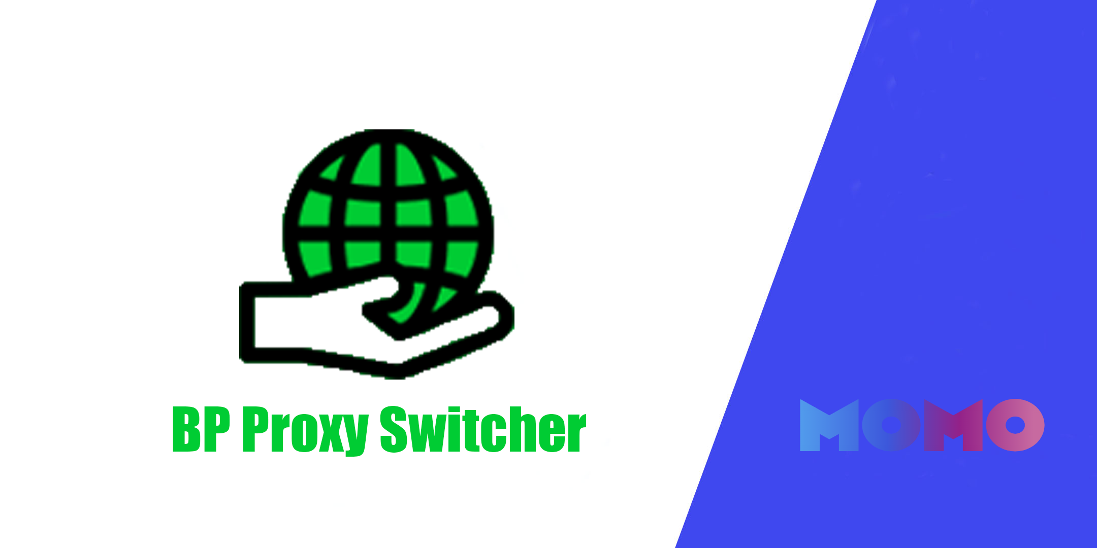 BP Proxy Switcher: Setup Proxy Guide BP Proxy Switcher: Setup Proxy Guide