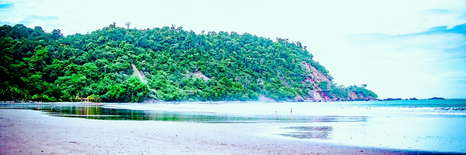 Christopher Walker | Typeshare